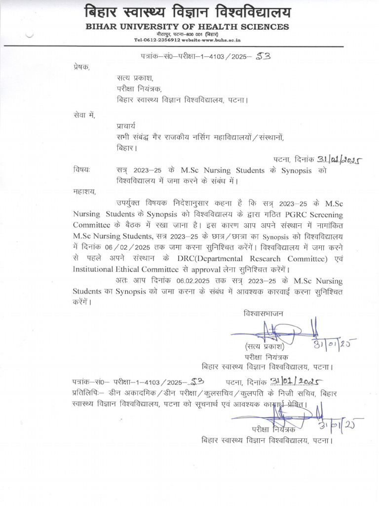 Obg. Synopis. Letter | PDF