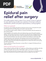 Understanding Epidurals in Labour | PDF | Childbirth | Anesthesia