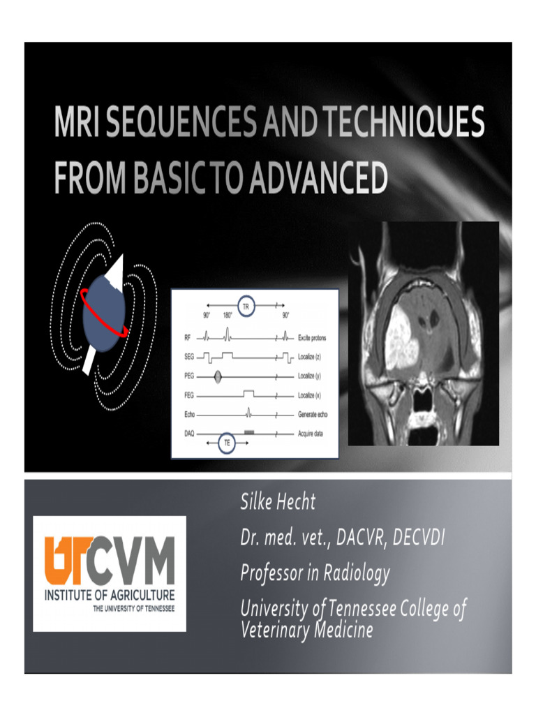 01 MRI Sequences and Techniques 2024 SLIDES ONLY | PDF | Magnetic ...