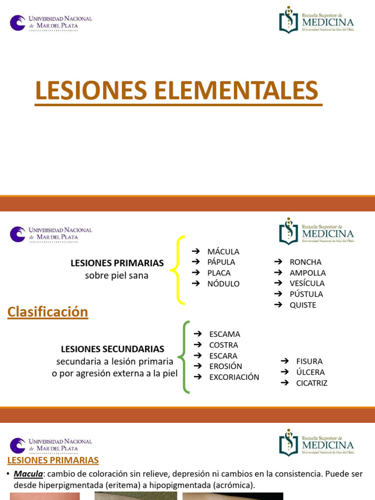 Clasificación de Lesiones Cutáneas | PDF