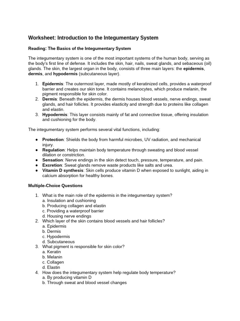 Worksheet - Introduction To The Integumentary System | PDF ...
