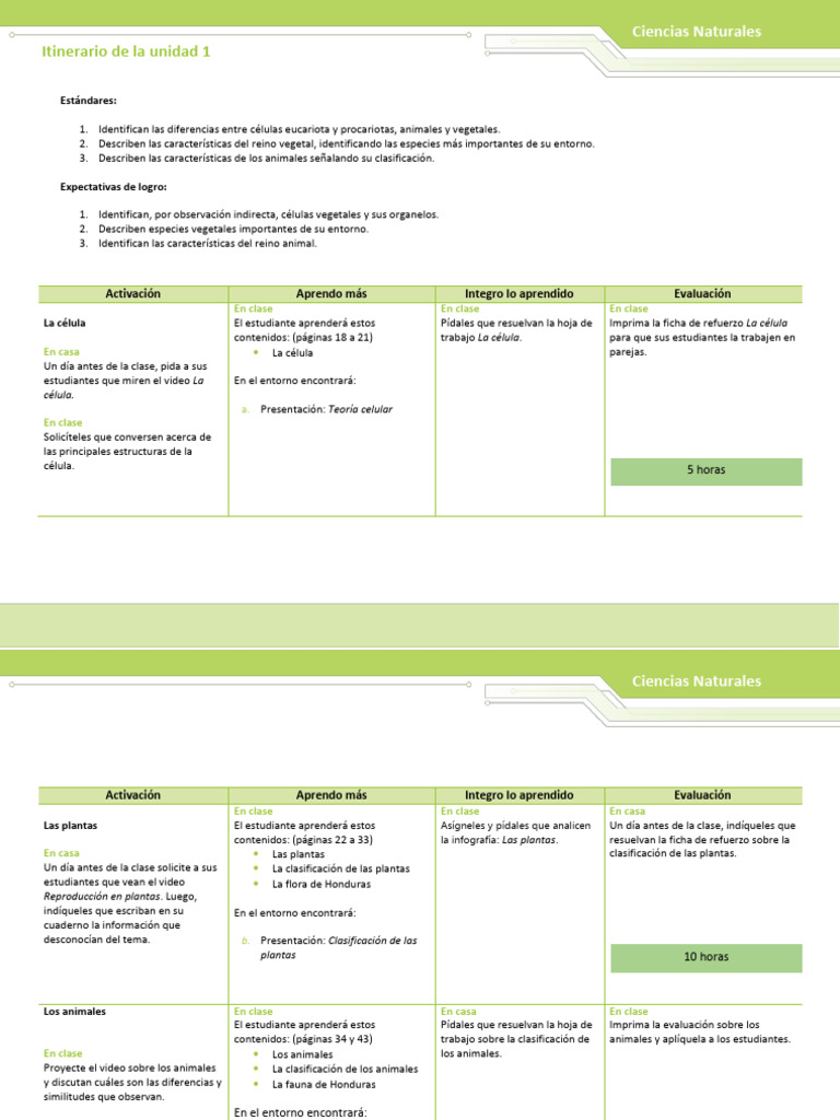 HN22 CN7 U1 Itinerario Didactico D PDF | PDF | Plantas | Biología Celular)