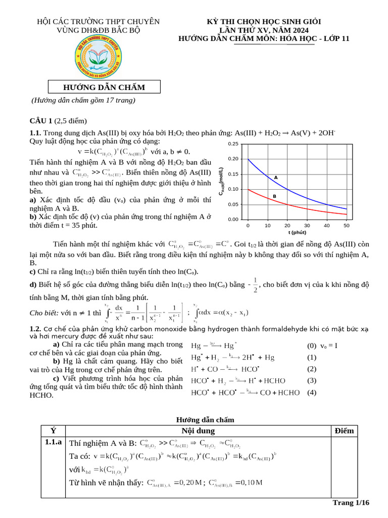 HDC Mon Hoa Hoc - Lop 11 | PDF