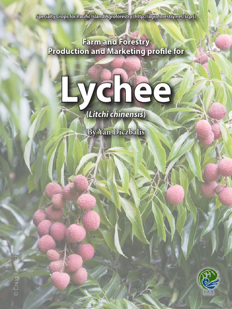 Lychee_specialty_crop | PDF | Flowers | Botany