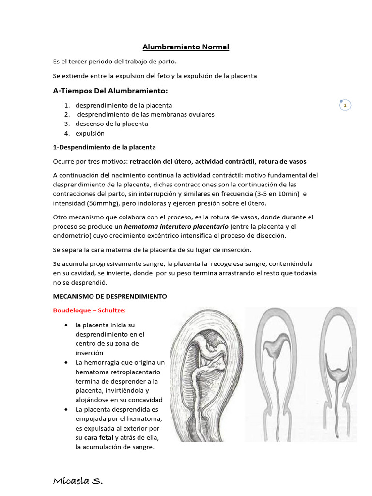 Clase 8 Alumbramiento y Puerperio Normal | PDF | Placenta | Parto