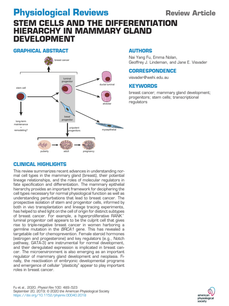 2 y 3) 2020 Fu Et Al Stem Cells and the Differentiation Hierarchy in ...
