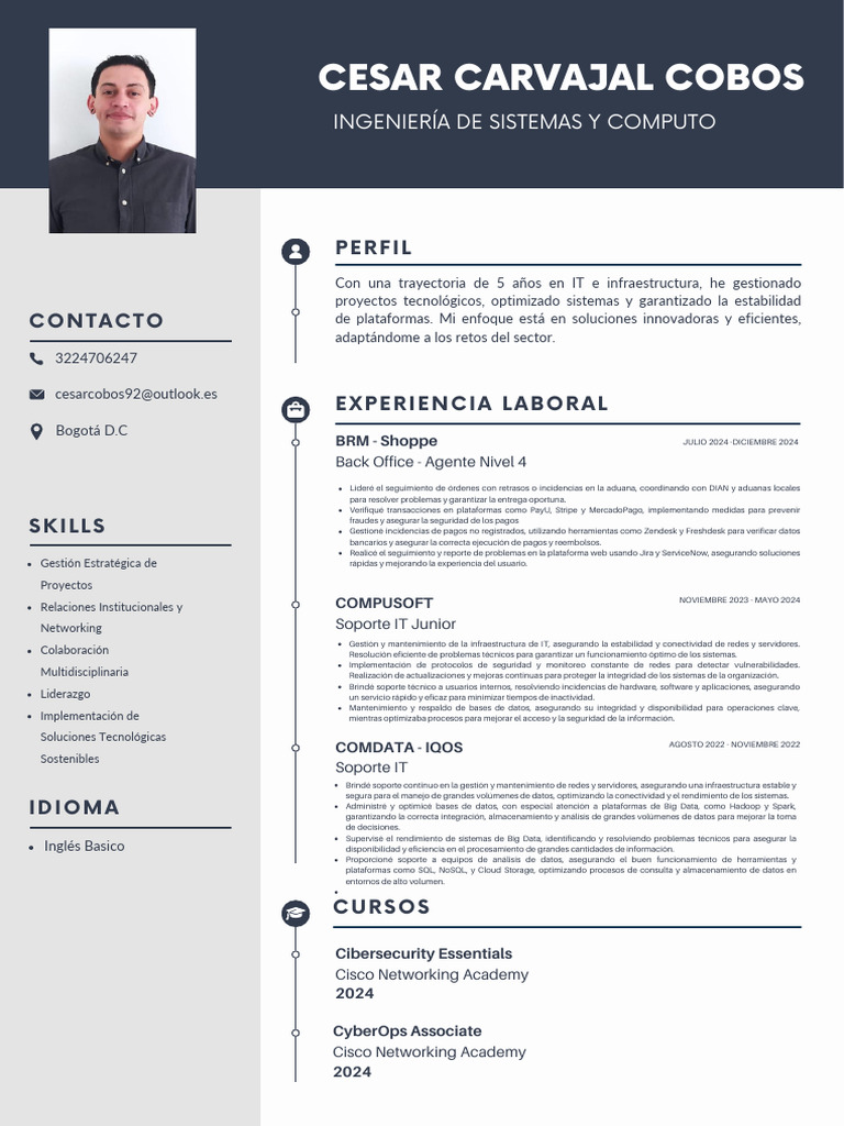 Blue and Gray Simple Professional CV Resume_20241206_135726_0000 | PDF ...