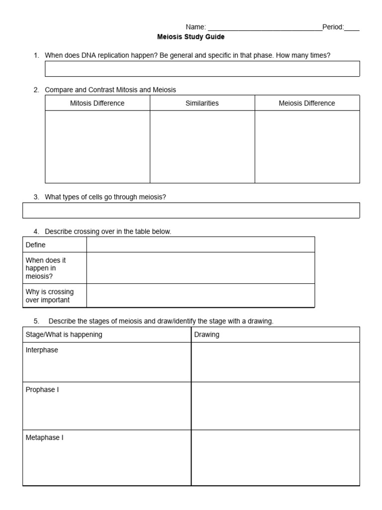 Meiosis Study Guide and Key Concepts | PDF | Meiosis | Ploidy