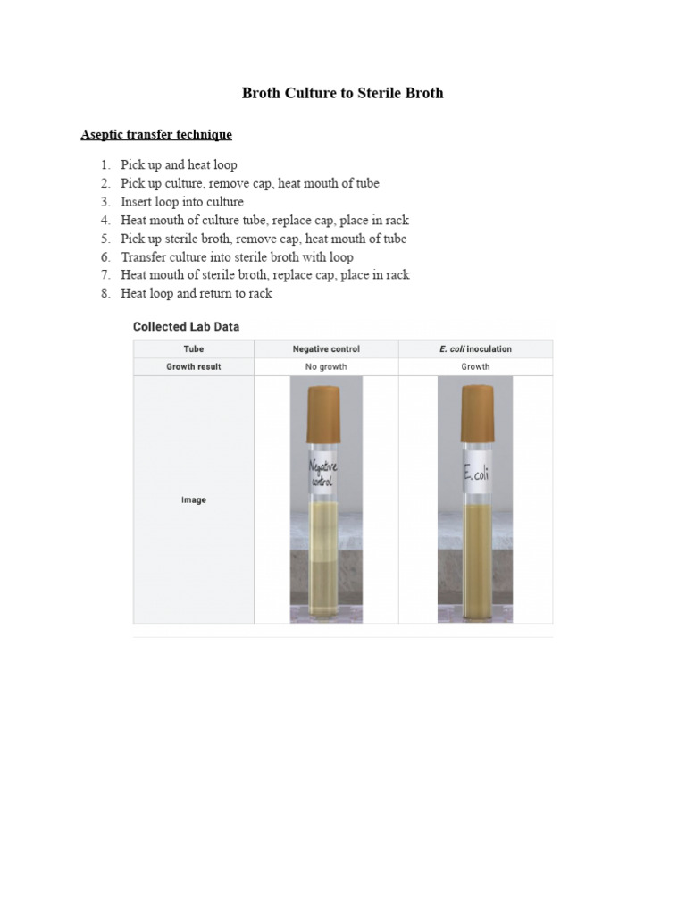 Broth Culture To Sterile Broth | PDF