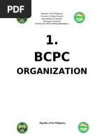 BCPC Flowchart | PDF