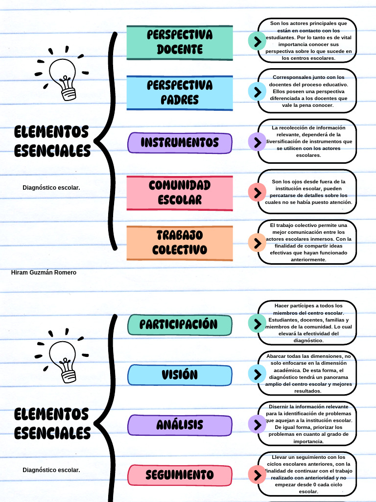 Elementos Esenciales de La NEM | PDF