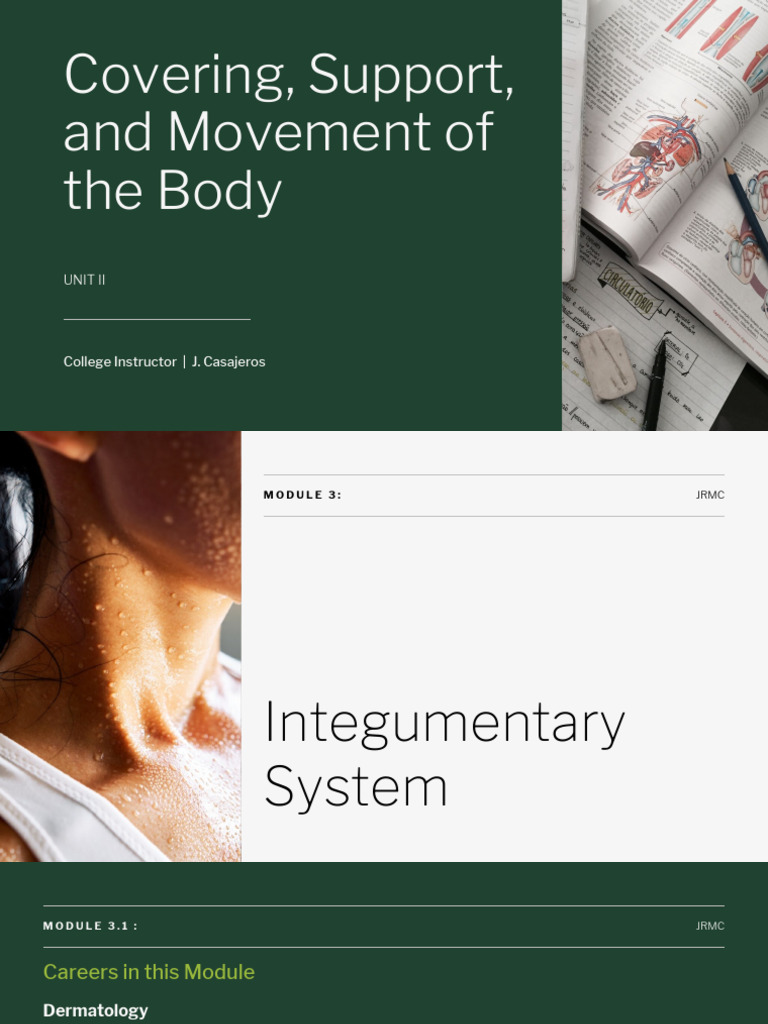 Module 3. Integumentary System | PDF | Skin | Epidermis