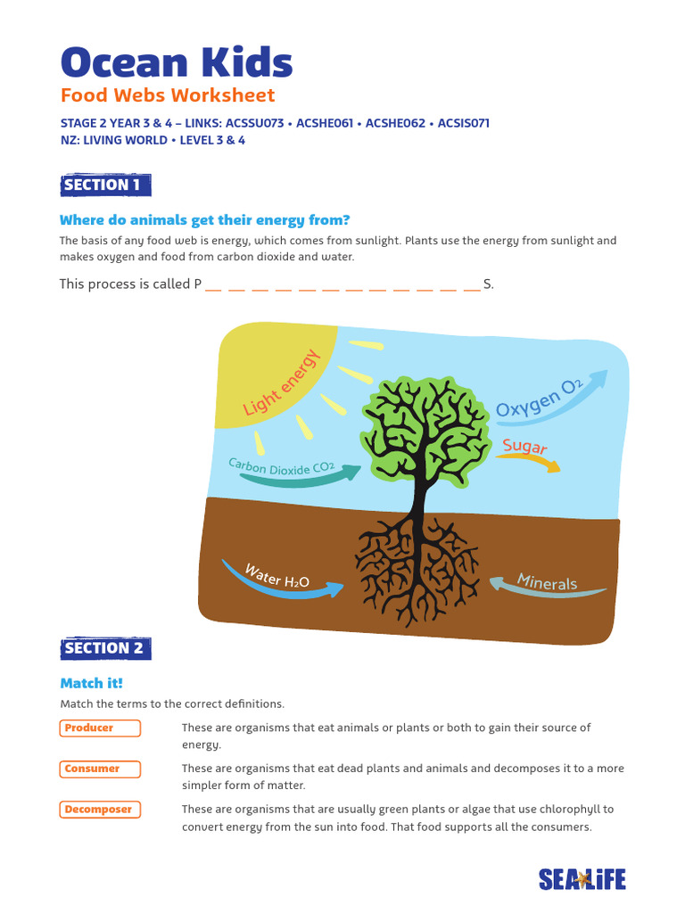 Food-Webs Year3-4 Oceankids Slsa | PDF | Food Web | Foods