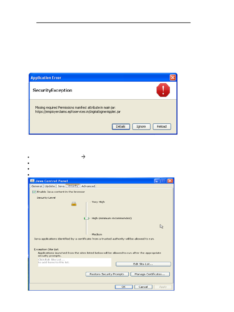 ProcessFlow JAVASecurityExceptionError | PDF