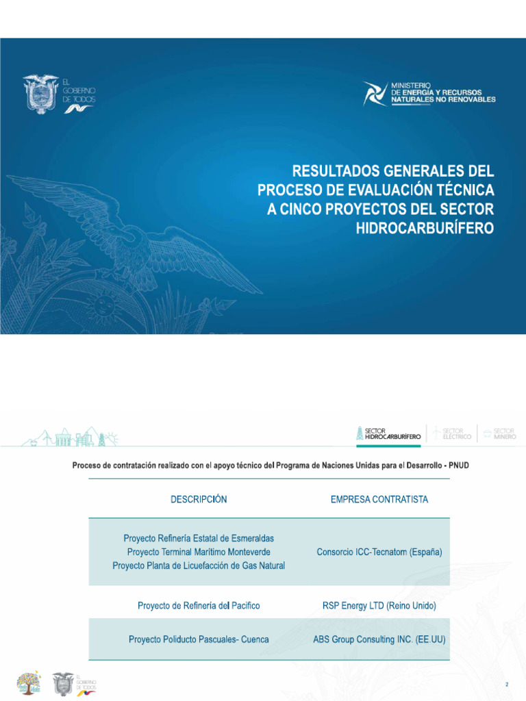 proyectos emblematicos | PDF