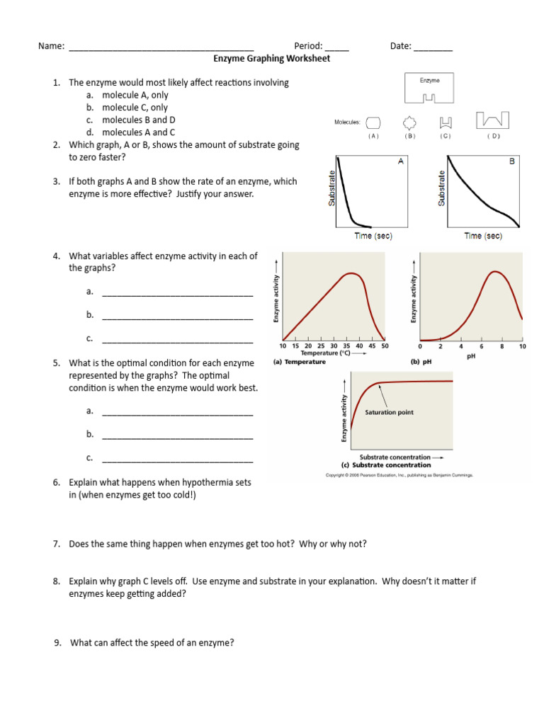 Enzyme Graphing | PDF