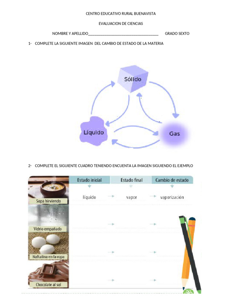 Evaluación de Ciencias Sexto Grado | PDF