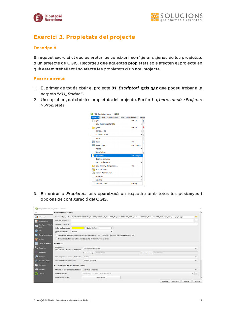 02_Exercici_Propietats_projecte | PDF