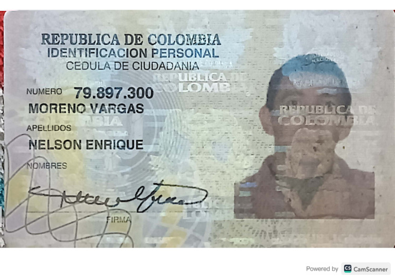 Documentos Nelson Angélica Juan y Miguel - 1 | PDF