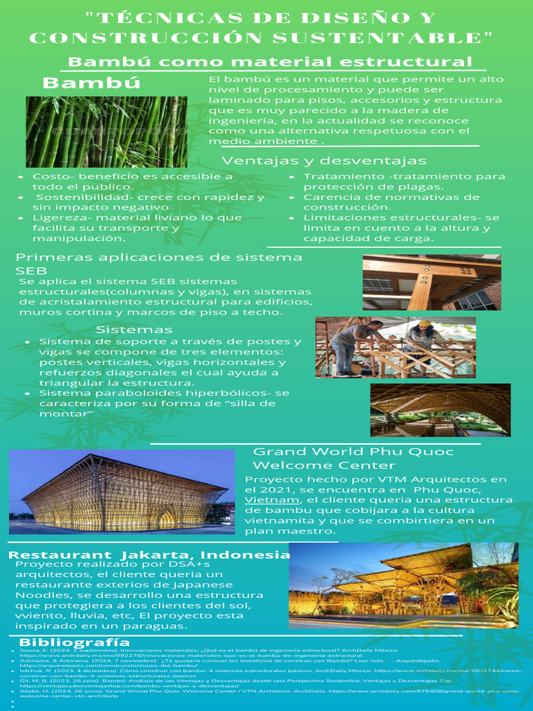 Infografia Bambu | PDF