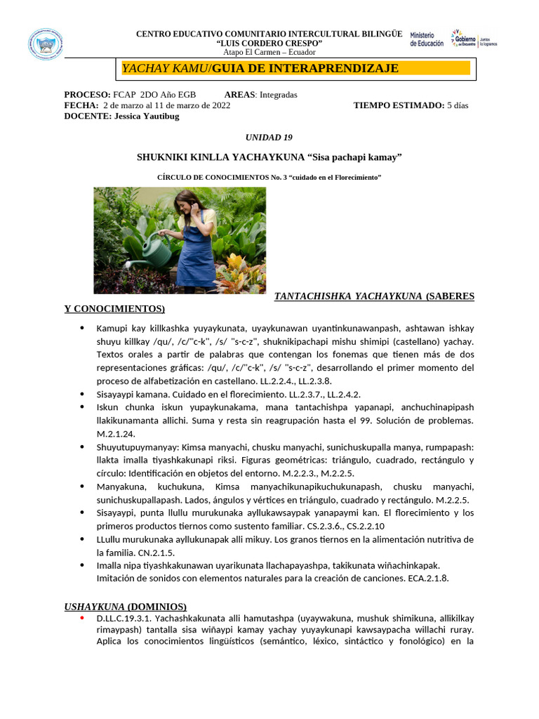 Guia 19 Circulo #3 Segundo | PDF | Multilingüismo | Rectángulo