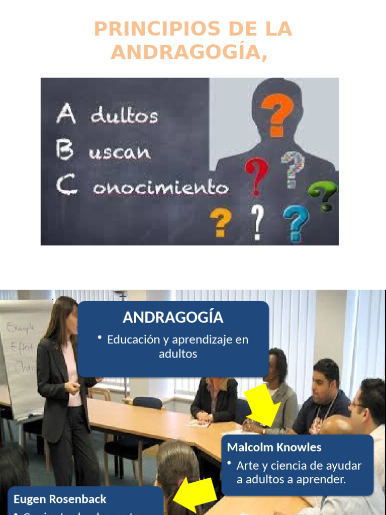 5 A Principios de La Andragogía, Como Aprenden Los | PDF | Aprendizaje ...