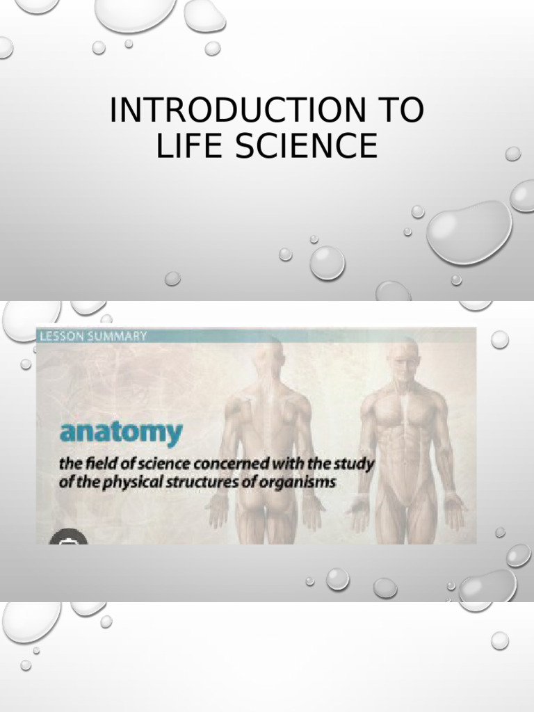 Introduction To Life Science Terminology | PDF