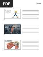 Músculos Del Torso | PDF | Sistema musculoesquelético | Anatomía humana