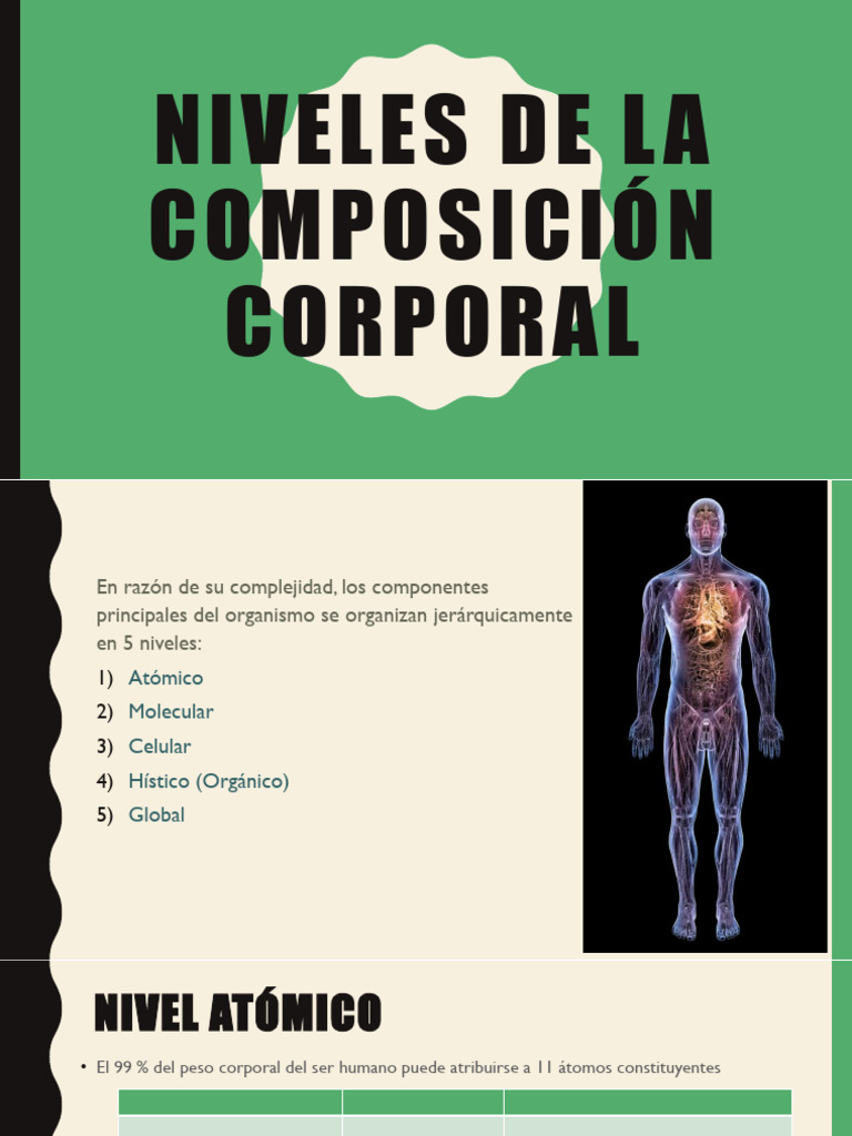Niveles de La Composición Corporal | PDF | Átomos | Sustancias químicas