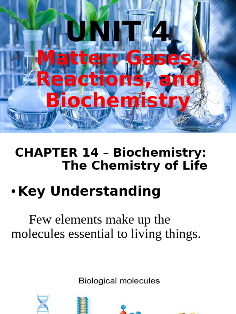 CHAPTER 14 - Biochemistry - The Chemistry of Life | PDF | Carbohydrates ...