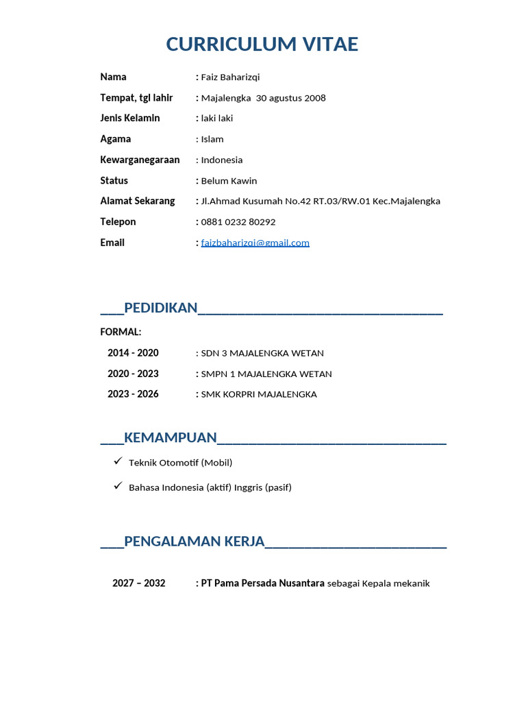Curriculum Vitae Faiz x Tkr 2 | PDF