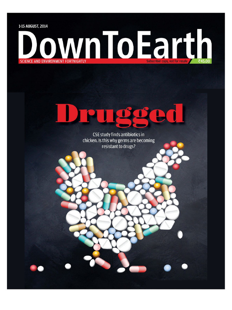 drugged-chicken | PDF