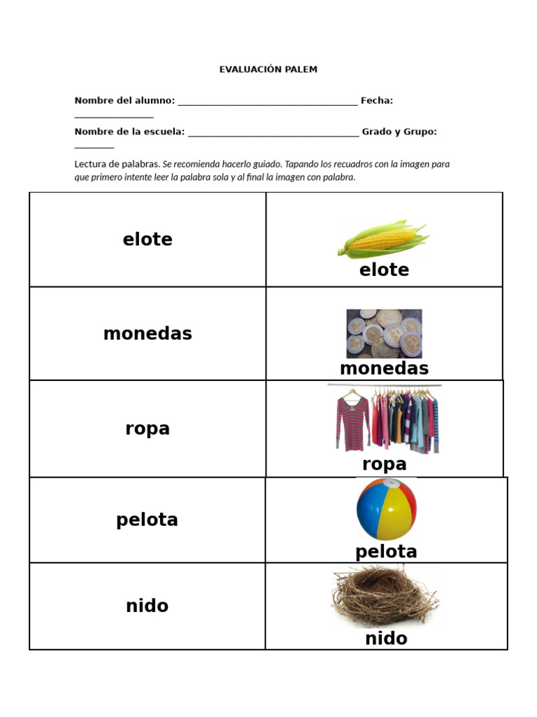 Evaluación Palem. Apoyo Diagnostico | PDF