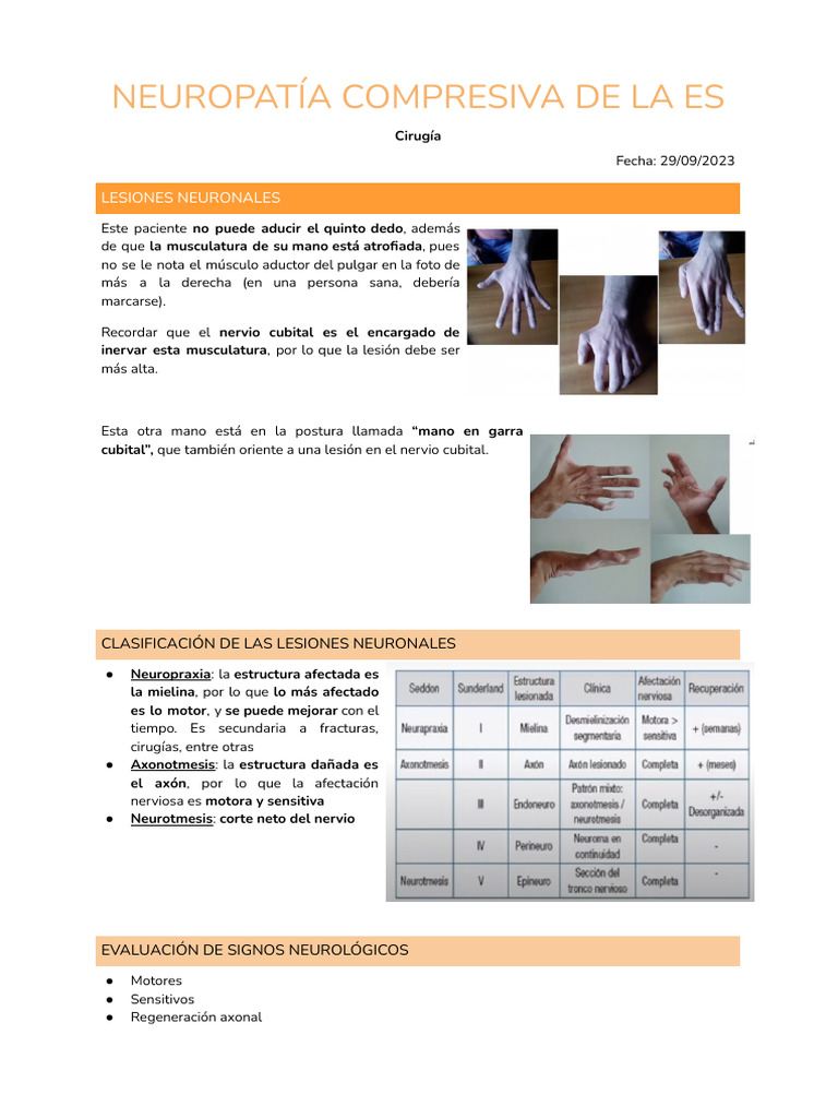 Neuropatías Compresivas de EESS | PDF | Codo | Mano