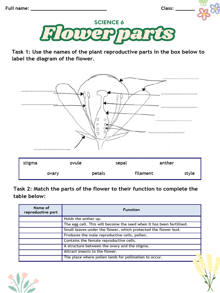 K6. Homework 7 Plant | PDF