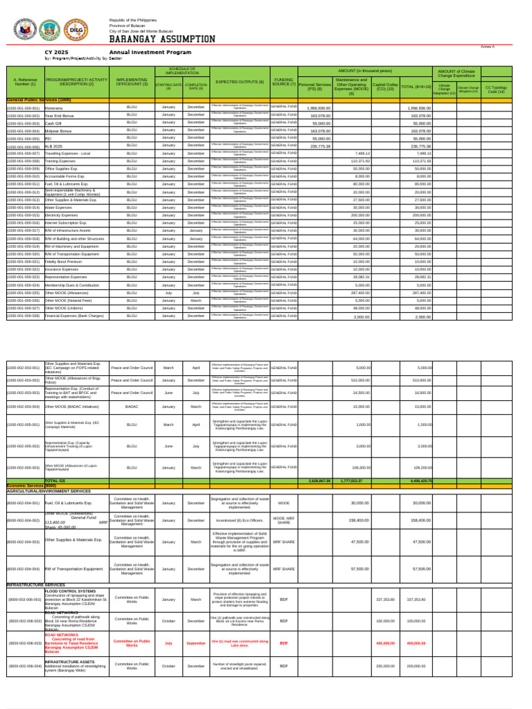 Annual Investment Plan 2025 | PDF