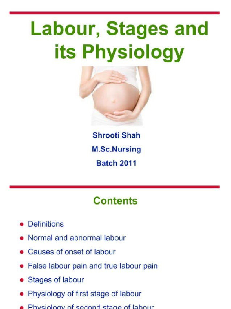 Labour | PDF