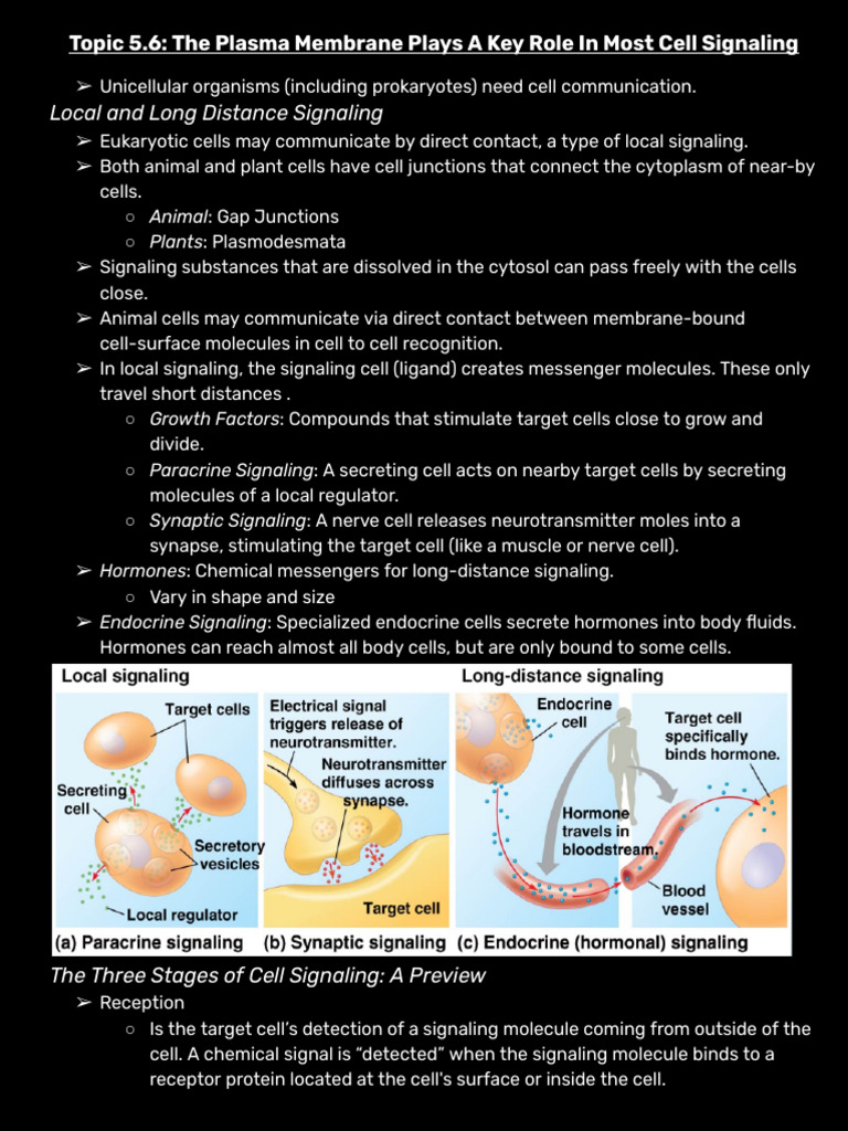 Chapter 5.6 Textbook Notes | PDF | Cell Signaling | Signal Transduction