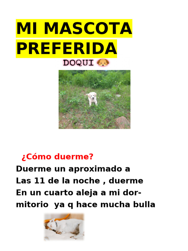 Mi Mascota Preferida | PDF