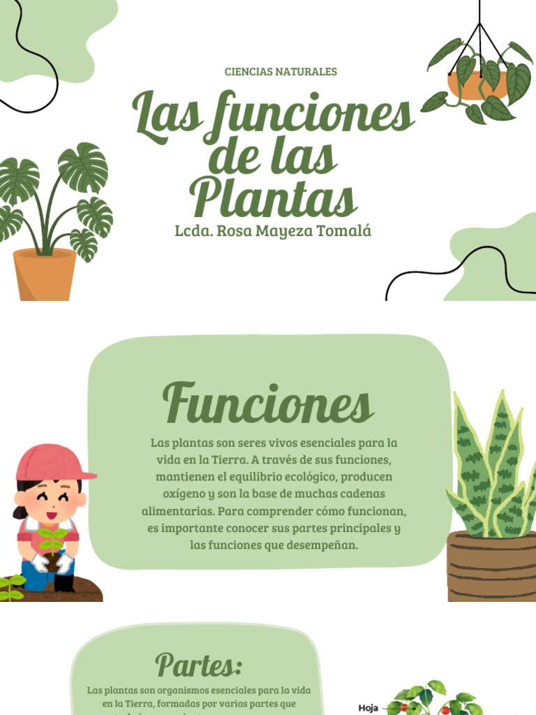 Funciones Esenciales de las Plantas | PDF