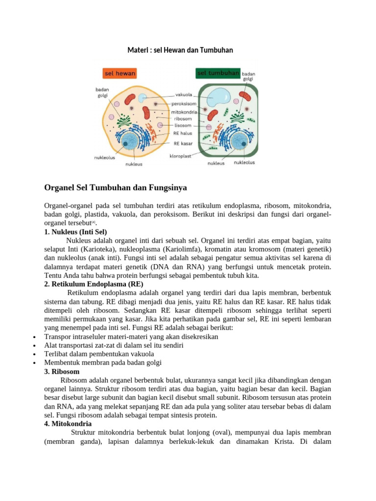 Materi Sel Hewan Dan Tumbuhan | PDF
