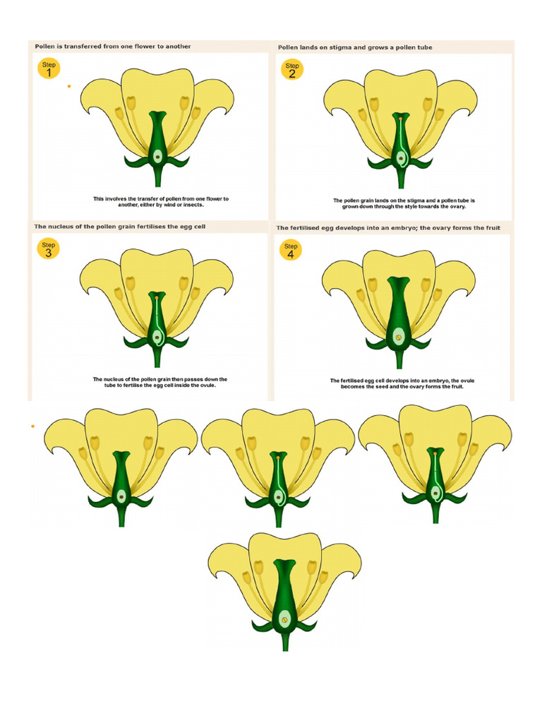 Pollination Sheet | PDF