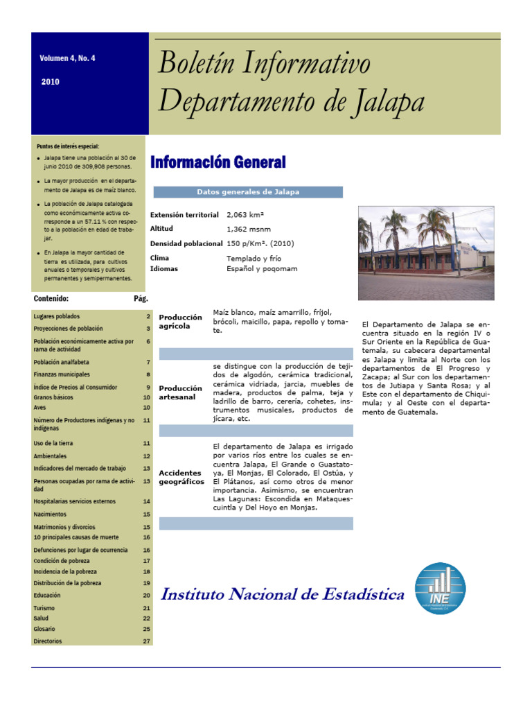 Documento INE 2009 | PDF | Pollo