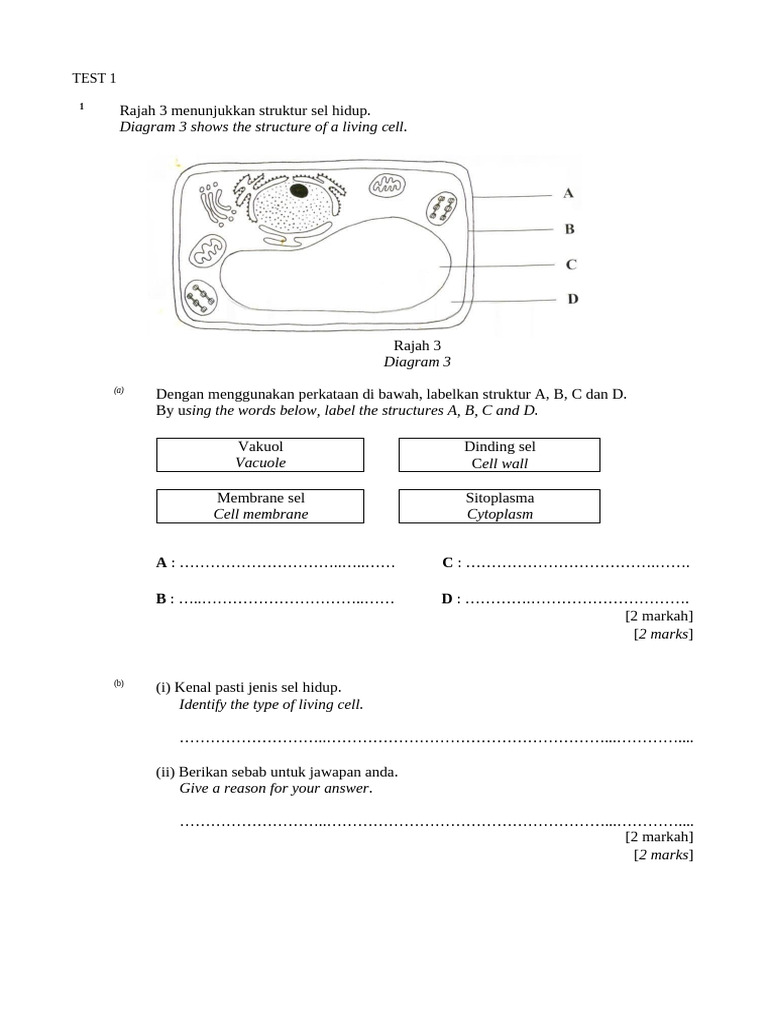 Assessment 1 March | PDF
