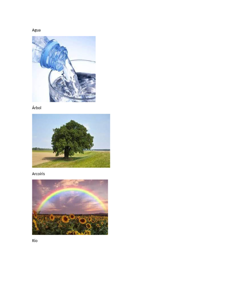 Elementos Naturales: Agua y Flora | PDF