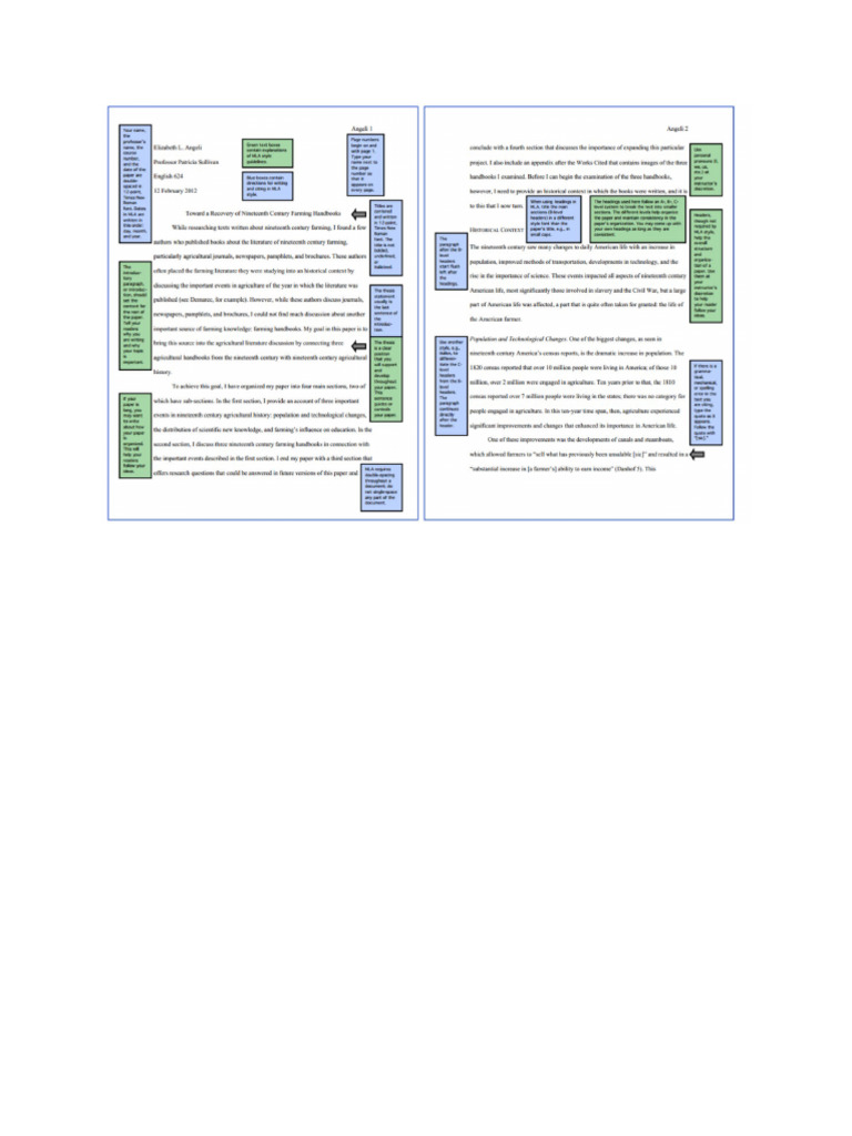 MLA Format | PDF