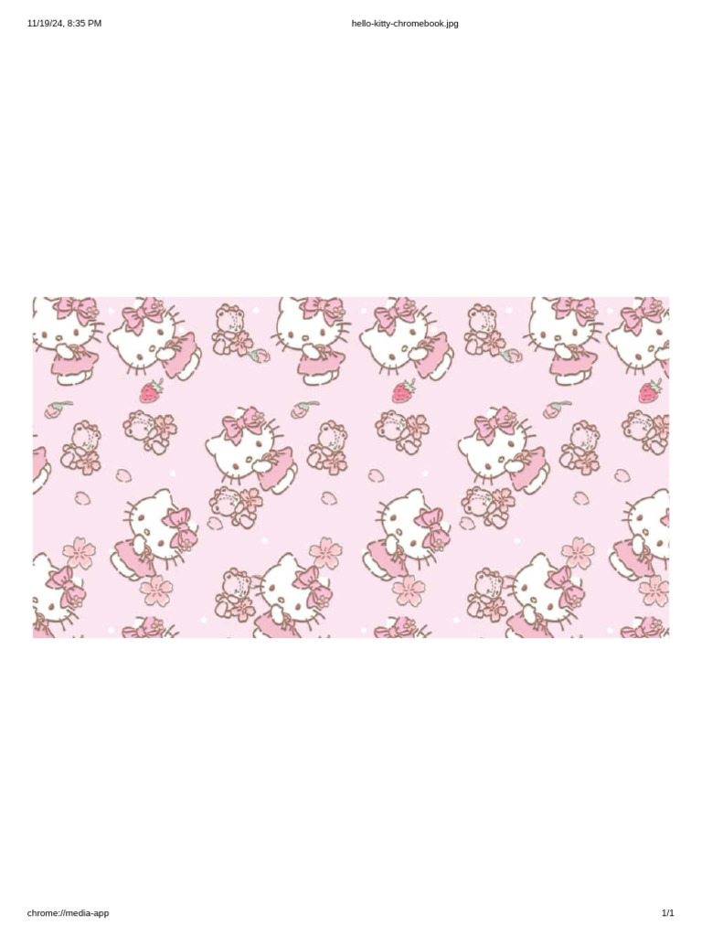 hello-kitty-chromebook.jpg | PDF