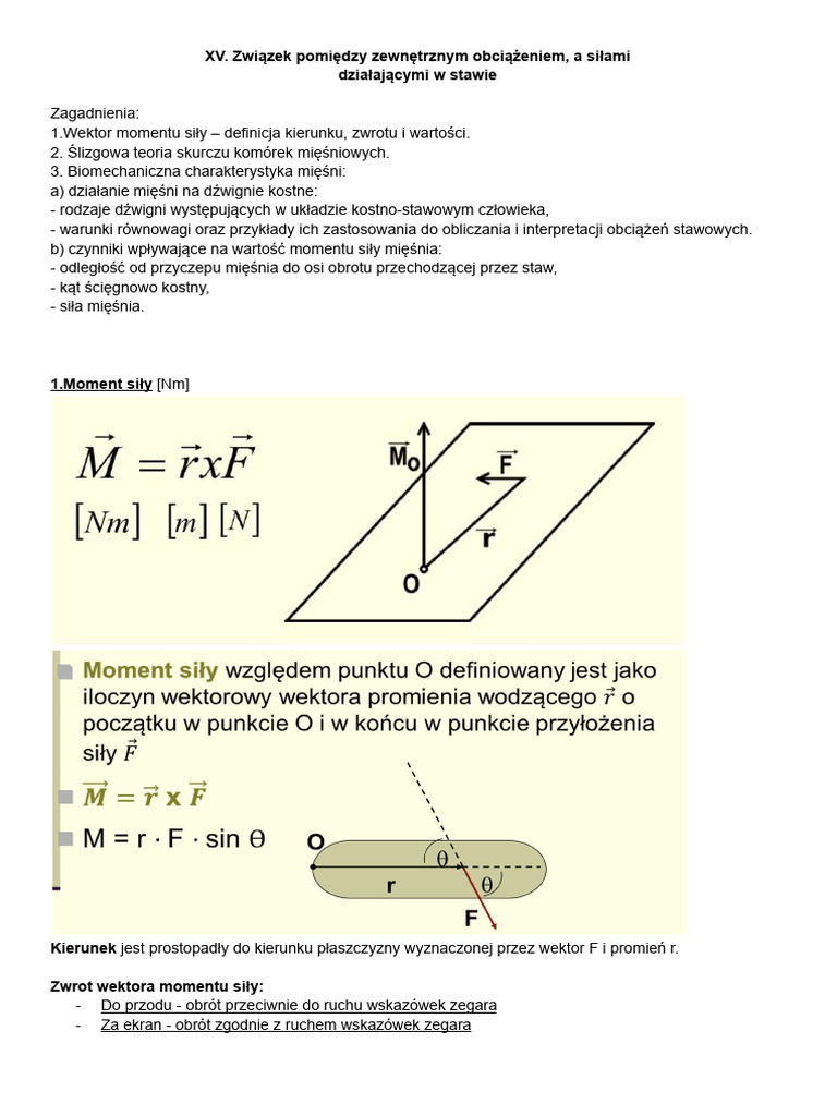 Bio Mecha Nika | PDF