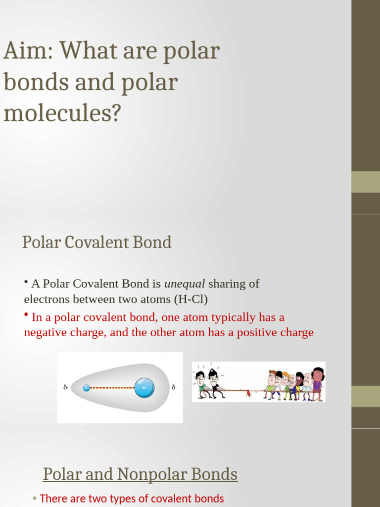 1 Polar Bonds and Polar Molecules Lesson 1 | PDF | Chemical Polarity ...