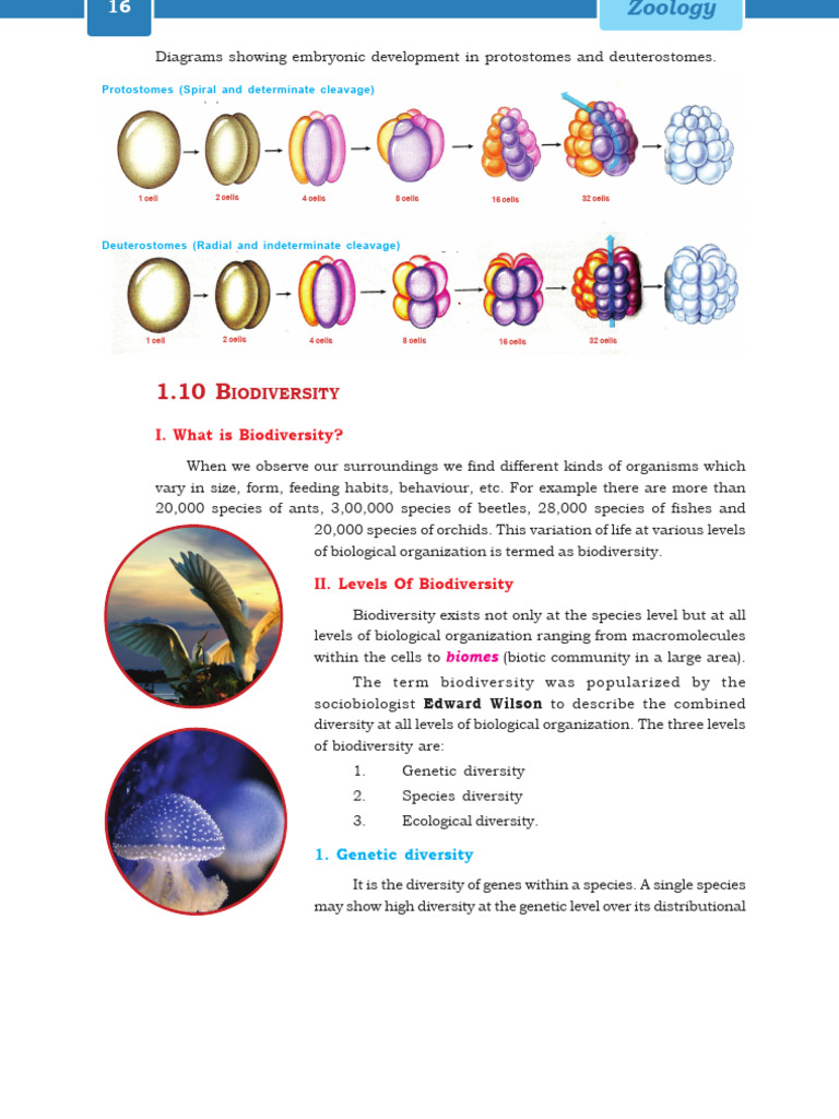 Biodiversity Red Data Book | PDF | Biodiversity | Conservation Biology